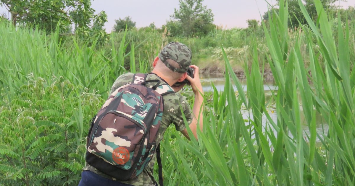 Kis-Sárréti kikelet, tavasz a berekben | Körös-Maros Nemzeti Park